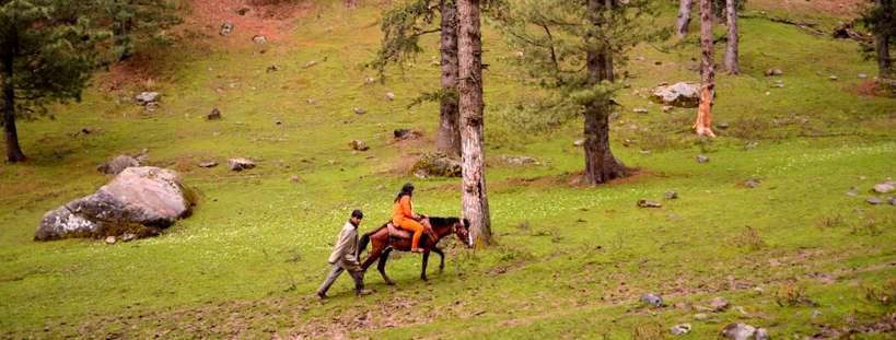 YUSMARG | Book Hotels in Kashmir & Jammu through JKTDC