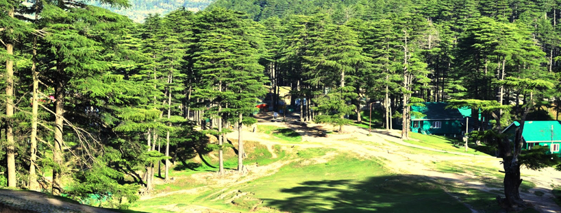 PATNITOP | Book Hotels in Kashmir & Jammu through JKTDC